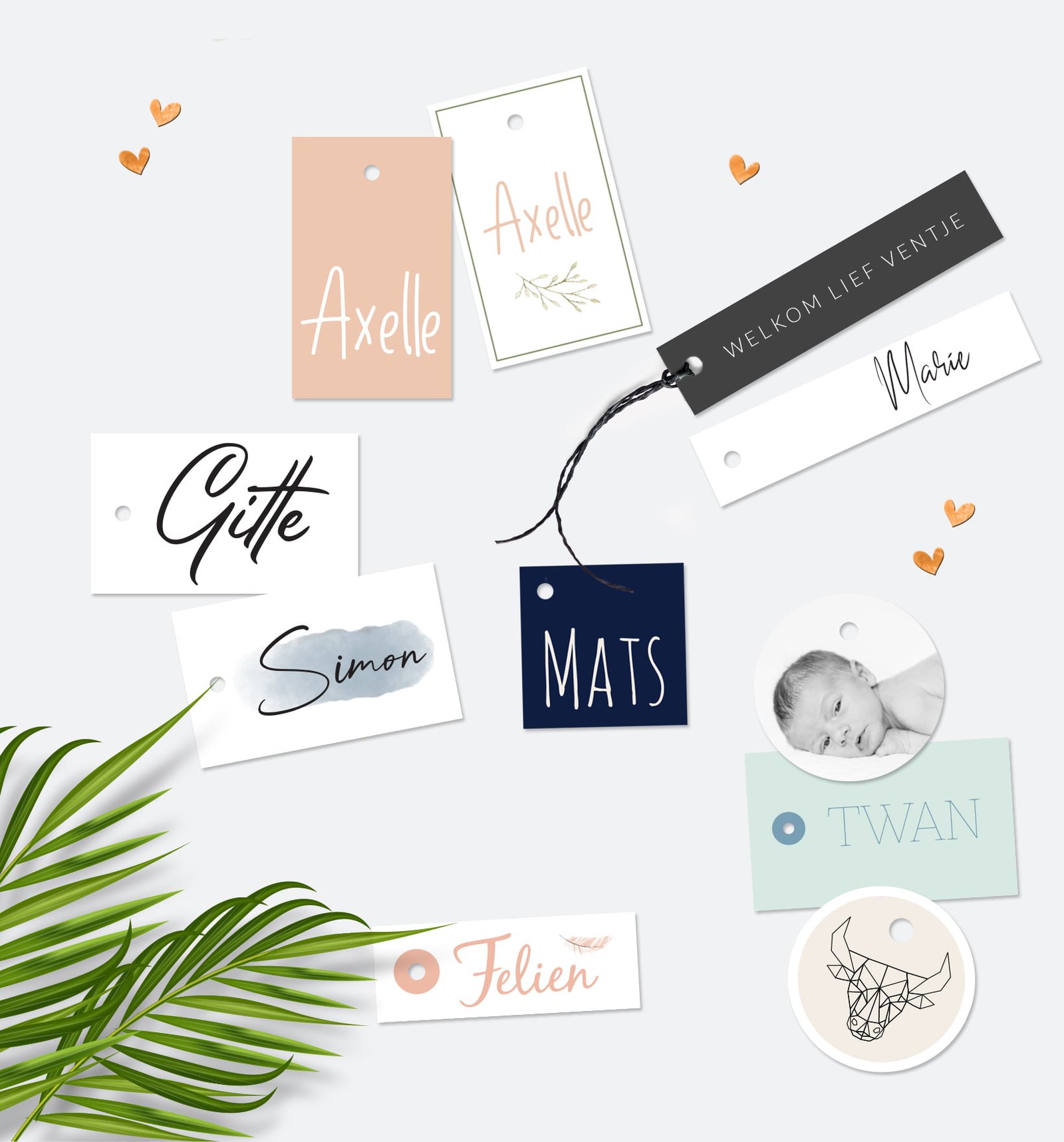 wikkels en labels | Concept 15